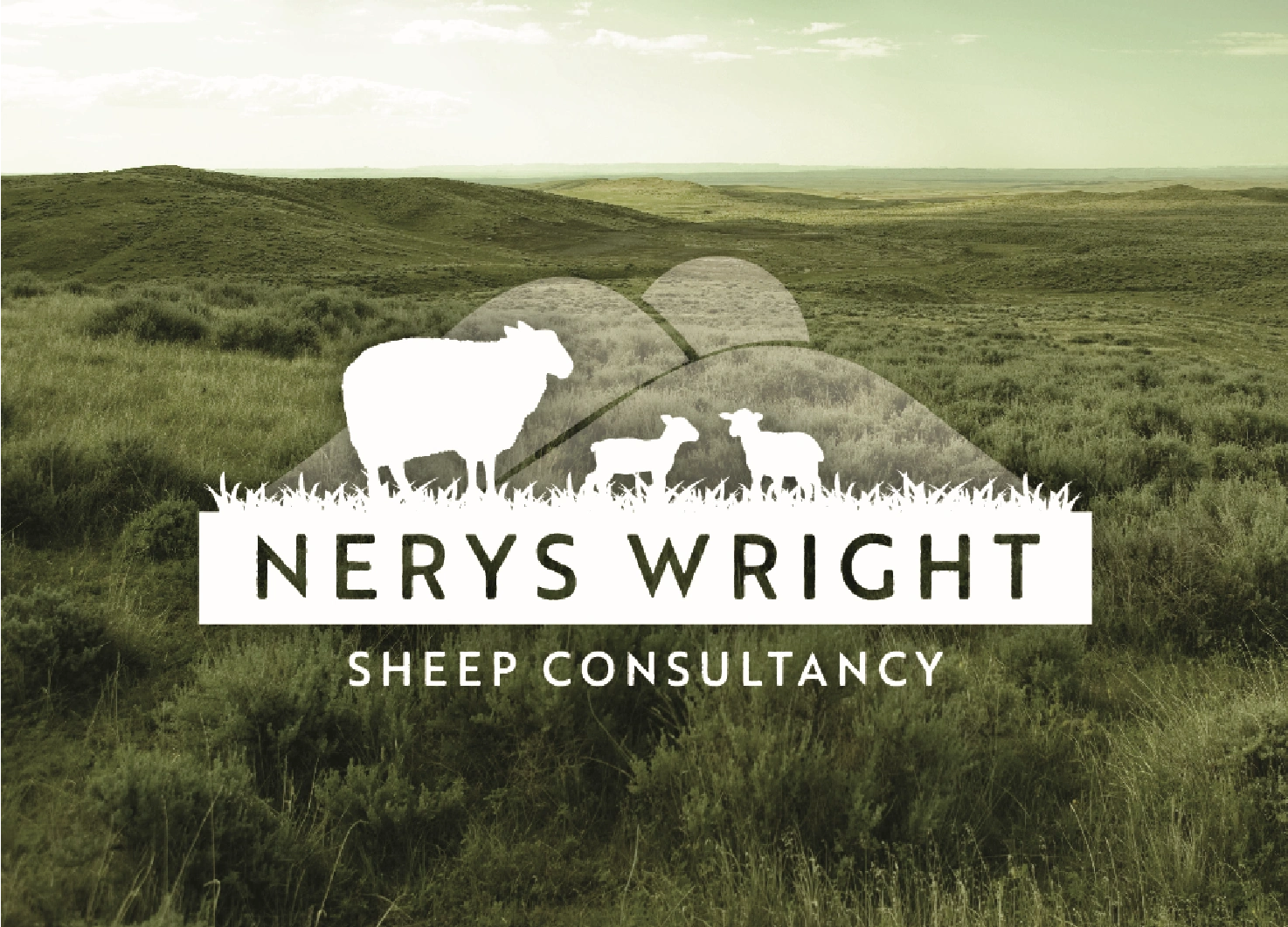 sheepconsultancy.co.uk